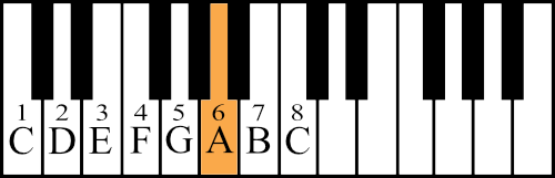 Music Theory for Songwriting - Organizing Sound